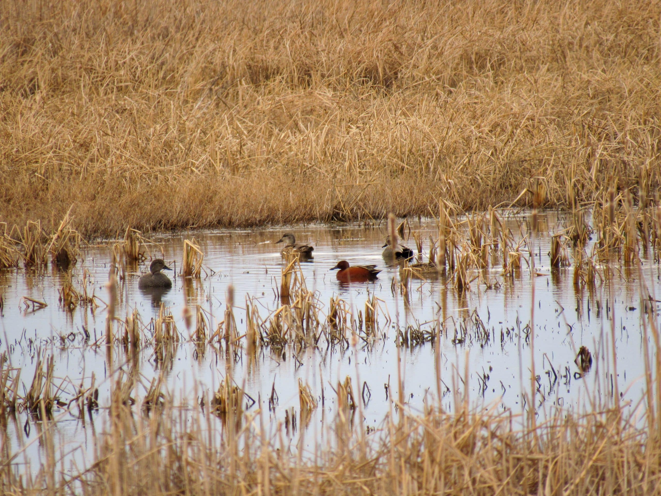 Landowners | Oklahoma Wetlands Program