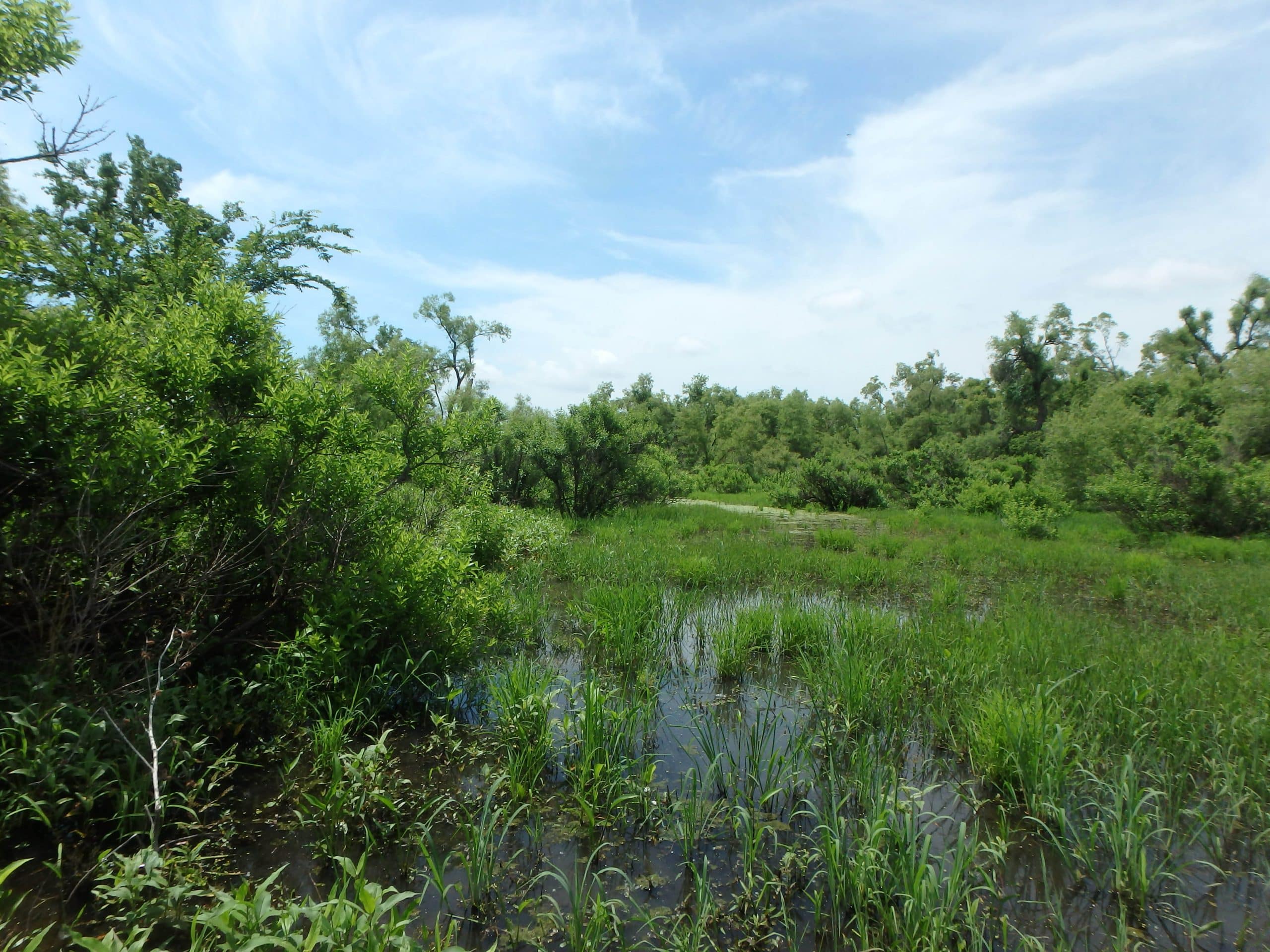 Our Program | Oklahoma Wetlands Program